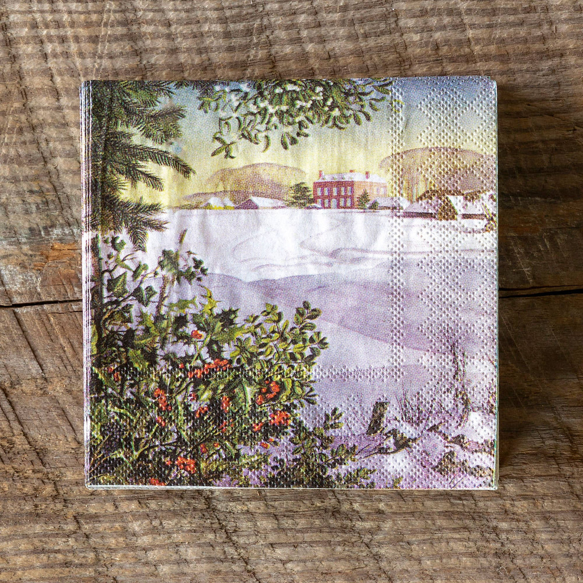 Winter Scene Paper Beverage Napkins – Passiflora Home